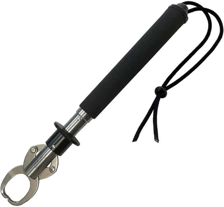 8 Best Fish Scales for Anglers - Reviews & Buying Guide